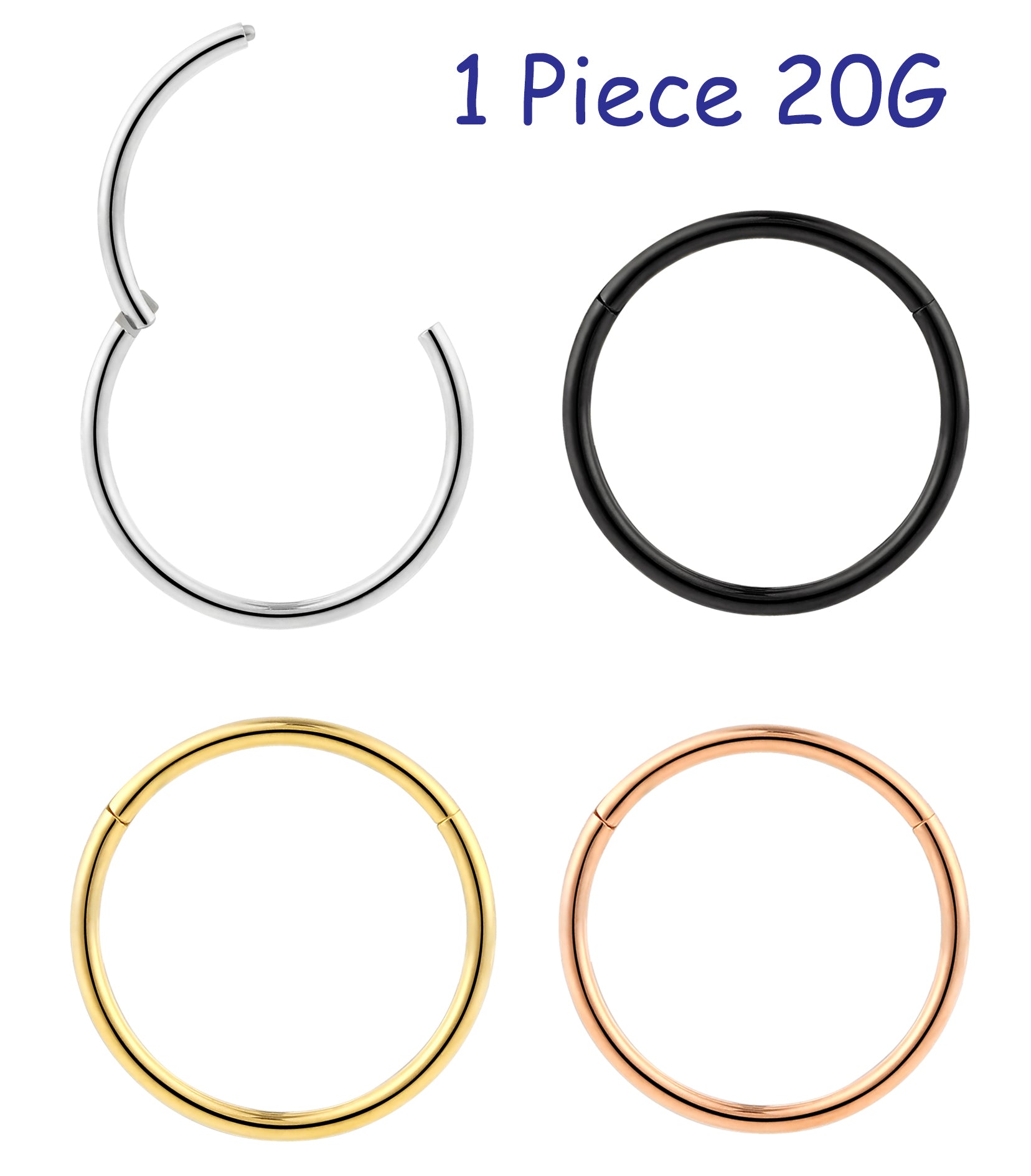 1 Piece 20G Titanium Polished Hinged Hoop Segment Ring Sleeper Earring ...